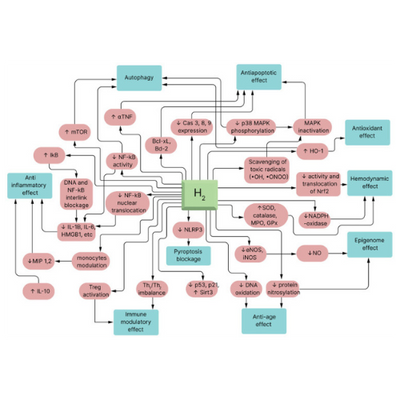 Learn – Hydro Heal